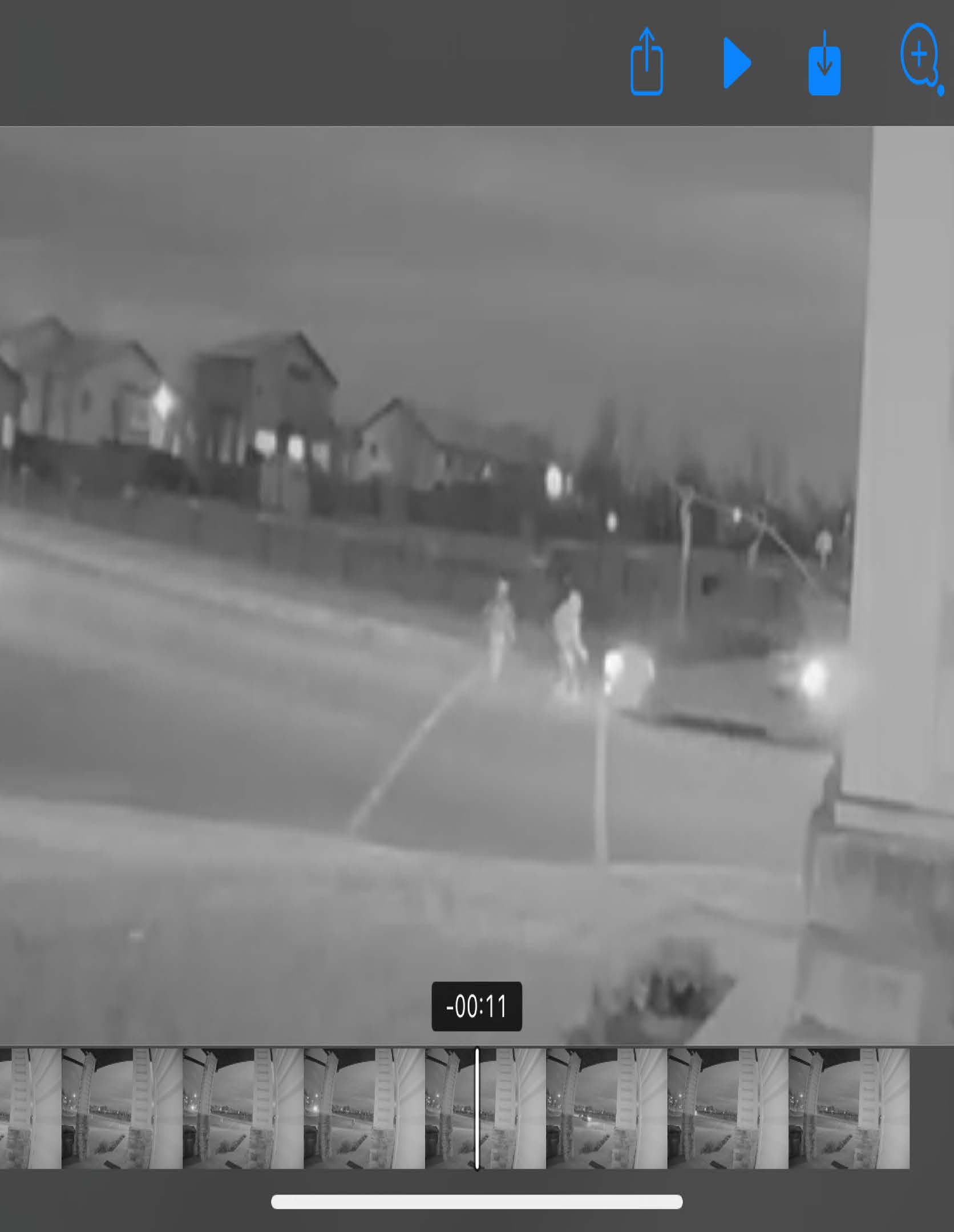 Grande Prairie Rcmp Searching For Suspect After Alleged Hit And Run